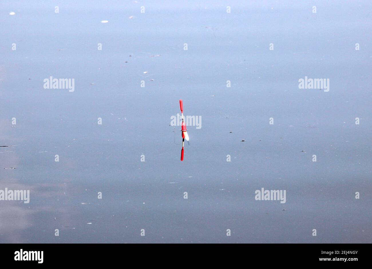 Red and white fishing float on the water and its reflection Stock Photo ...