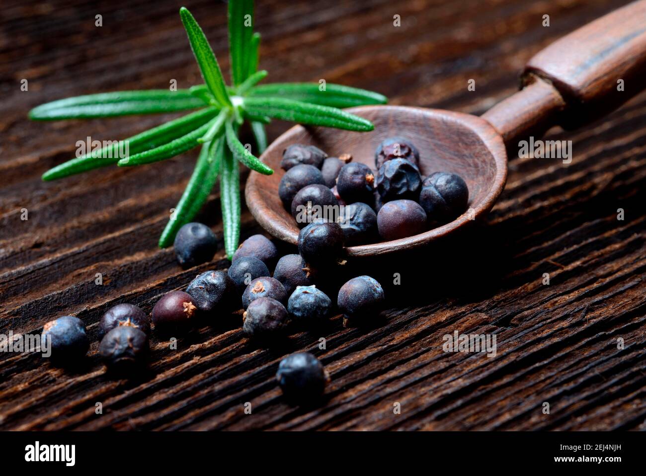 Dried juniper berries ( Juniperus communis) on wooden shovel, rosemary ...