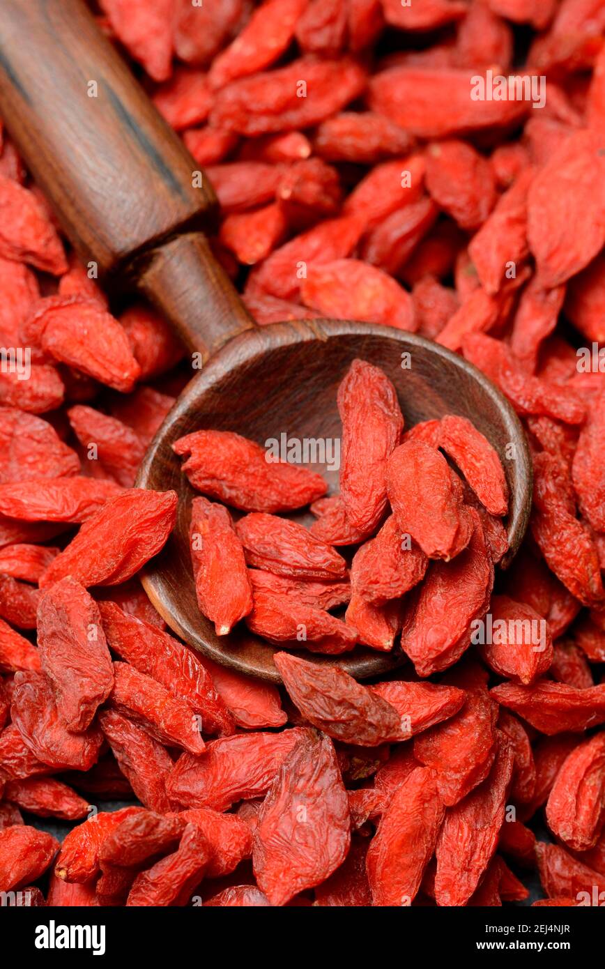 Dried (Lycium barbarum) , wooden spoon Stock Photo - Alamy