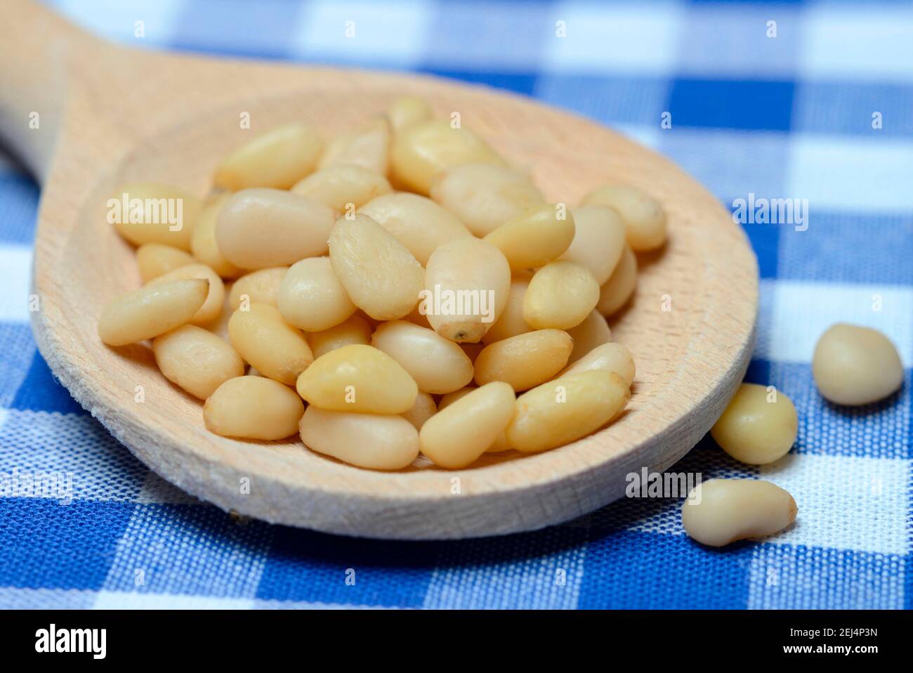 Cedar seeds hi-res stock photography and images - Alamy