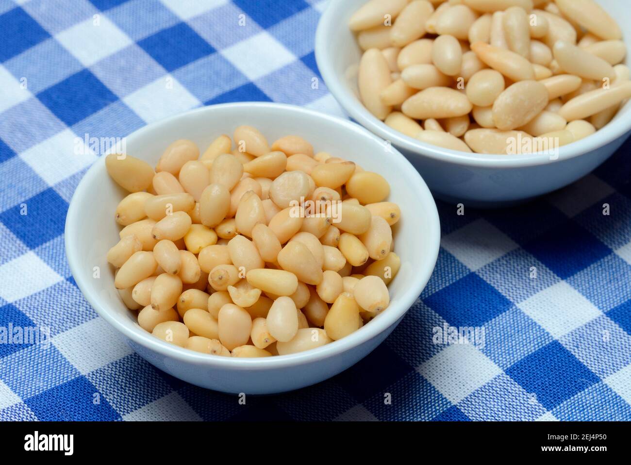 Cedar and pine nuts Stock Photo - Alamy