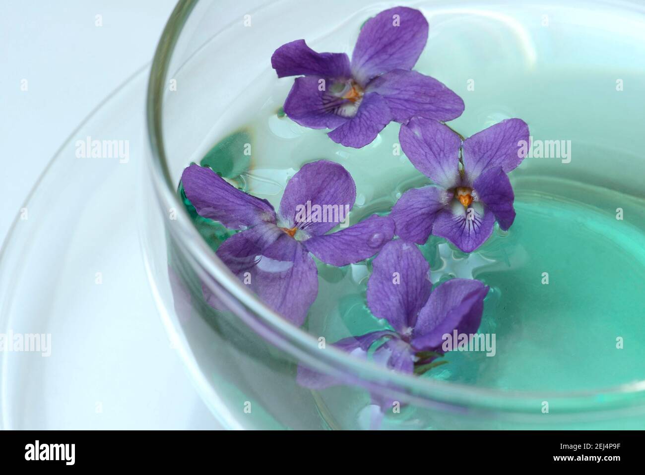 Violet tea ( Viola odorata) violet flower tea, cup Stock Photo - Alamy