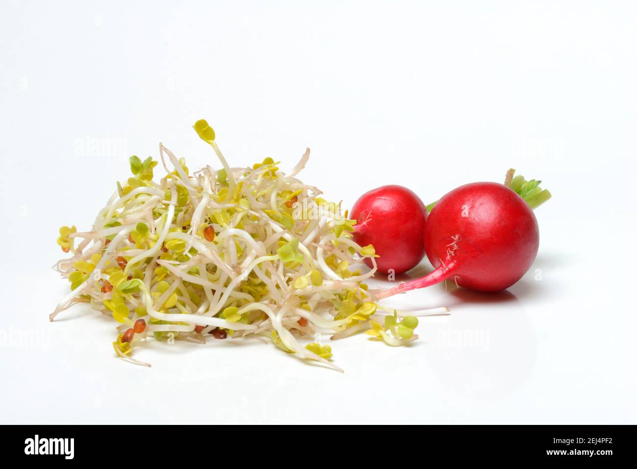 Radish sprouts hi-res stock photography and images - Alamy