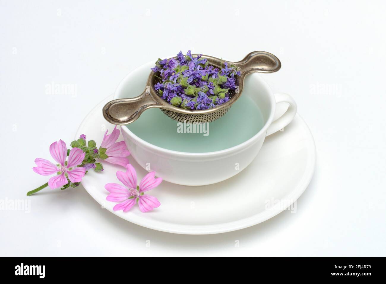 Mallow tea, dried flowers, tea strainer, Common mallow ( Malva ...