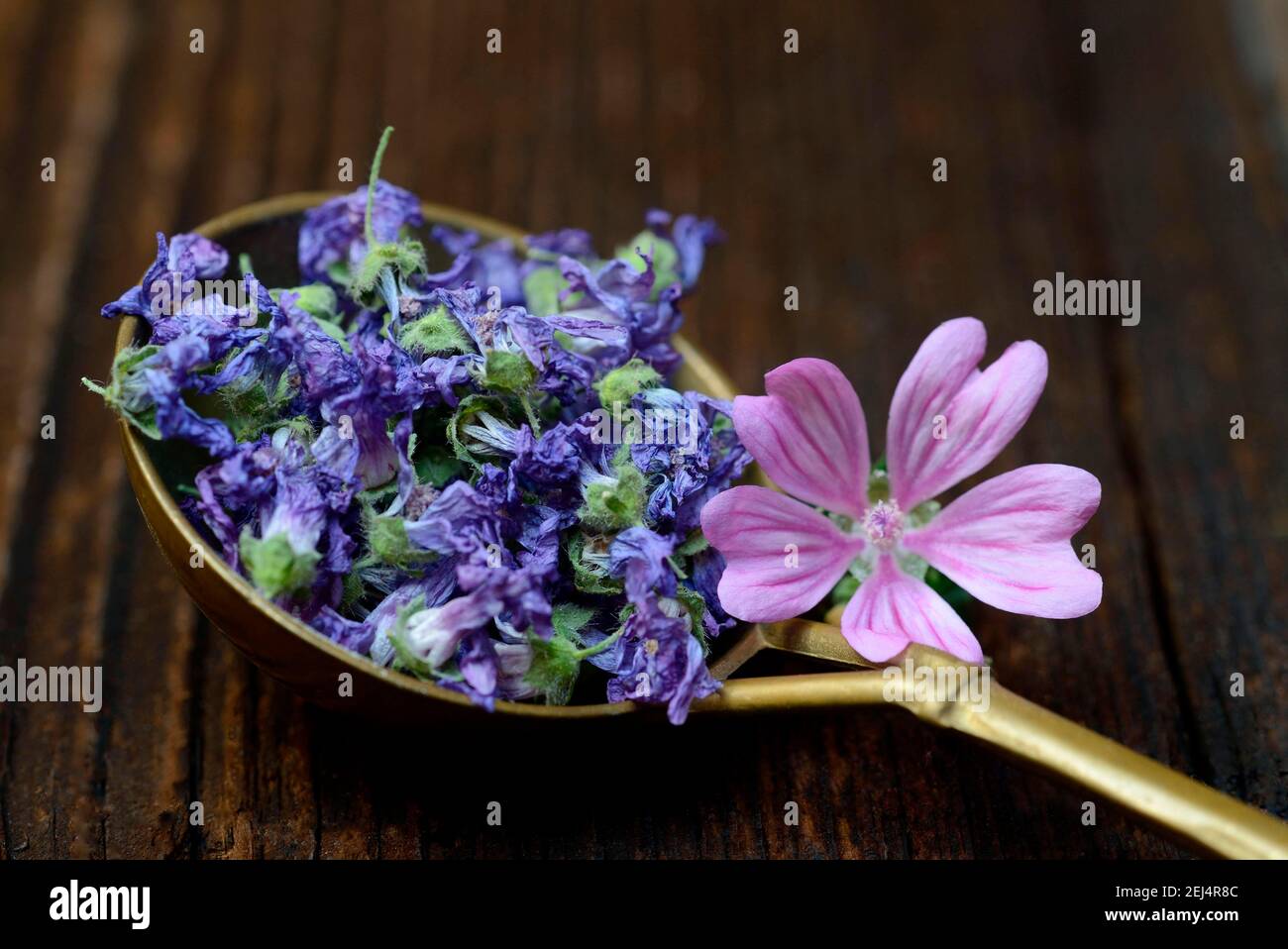 Mallow tea, dried flowers, Common mallow ( Malva sylvestris Stock Photo ...