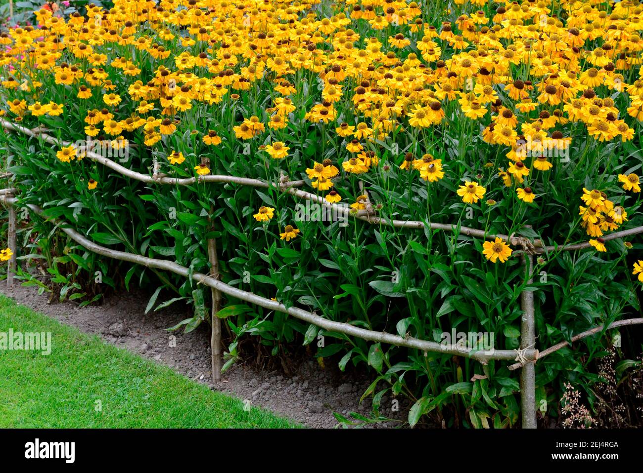 Support fence for flowers, support aid, support, branch fence, support ...
