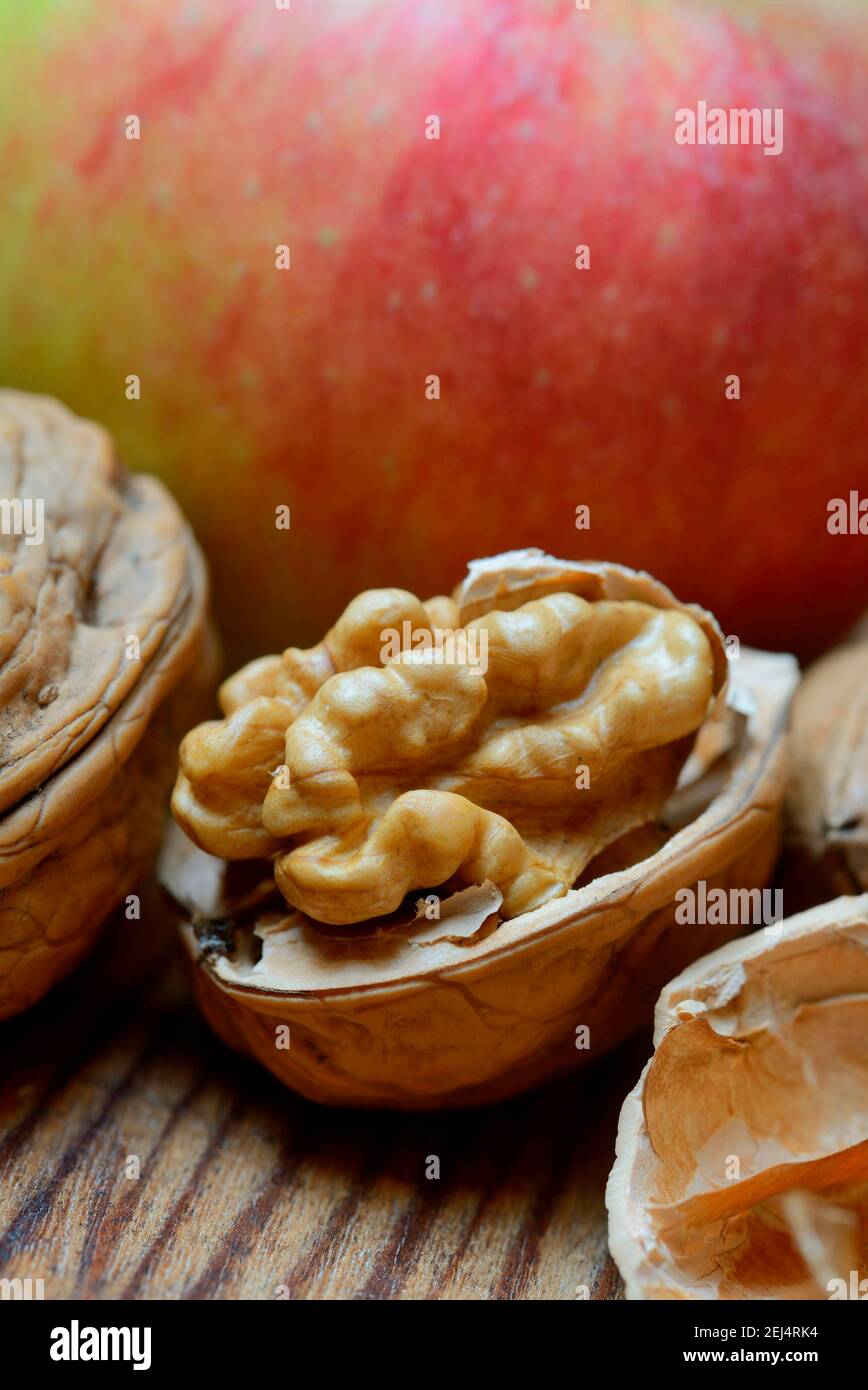 Walnuts (Juglans regia Stock Photo - Alamy