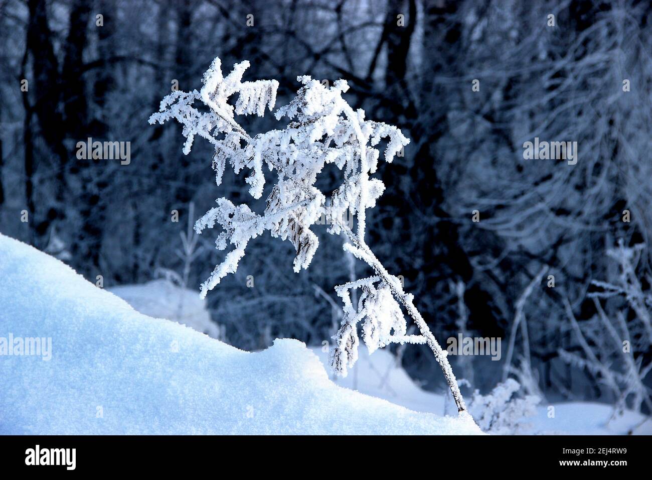 Deep Snowdrift High Resolution Stock Photography and Images - Alamy
