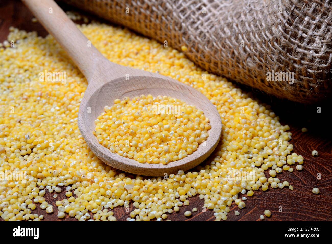 Real millet ( Panicum miliaceum Stock Photo - Alamy