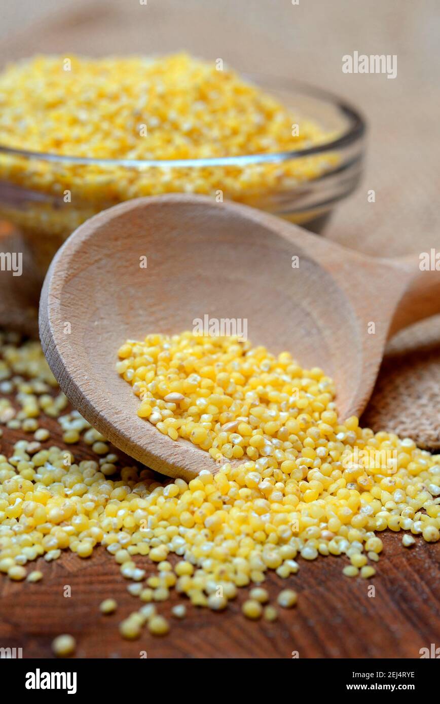 Real millet ( Panicum miliaceum Stock Photo - Alamy