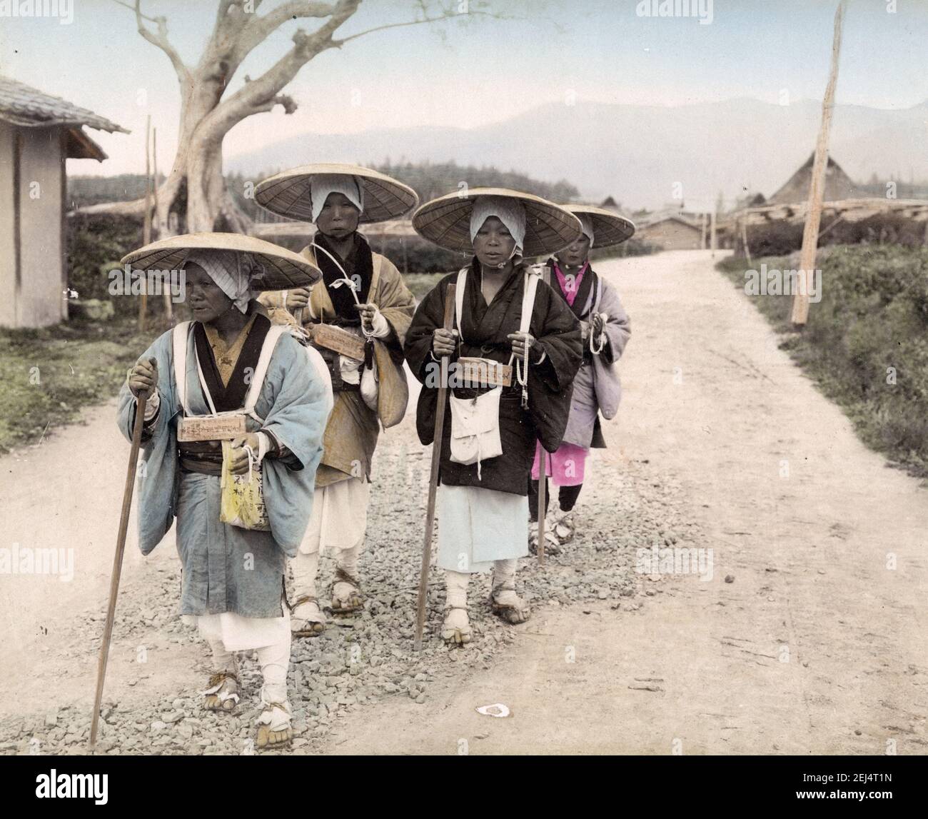 nineteenth century Japan colorized photography travel to Japan flower ...