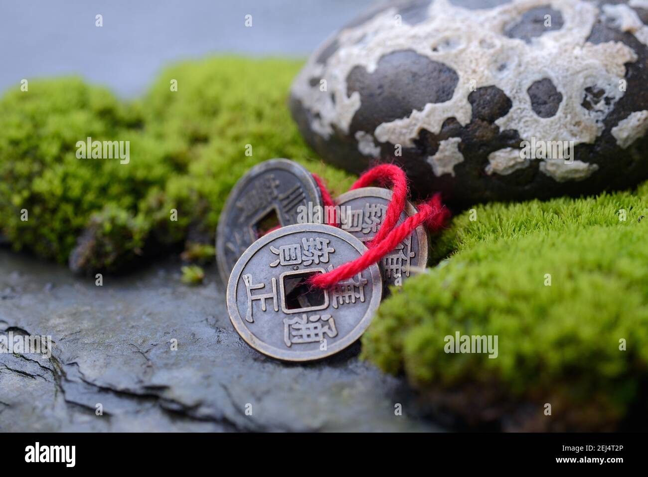 Chinese lucky coins with moss and stone, luck Stock Photo - Alamy