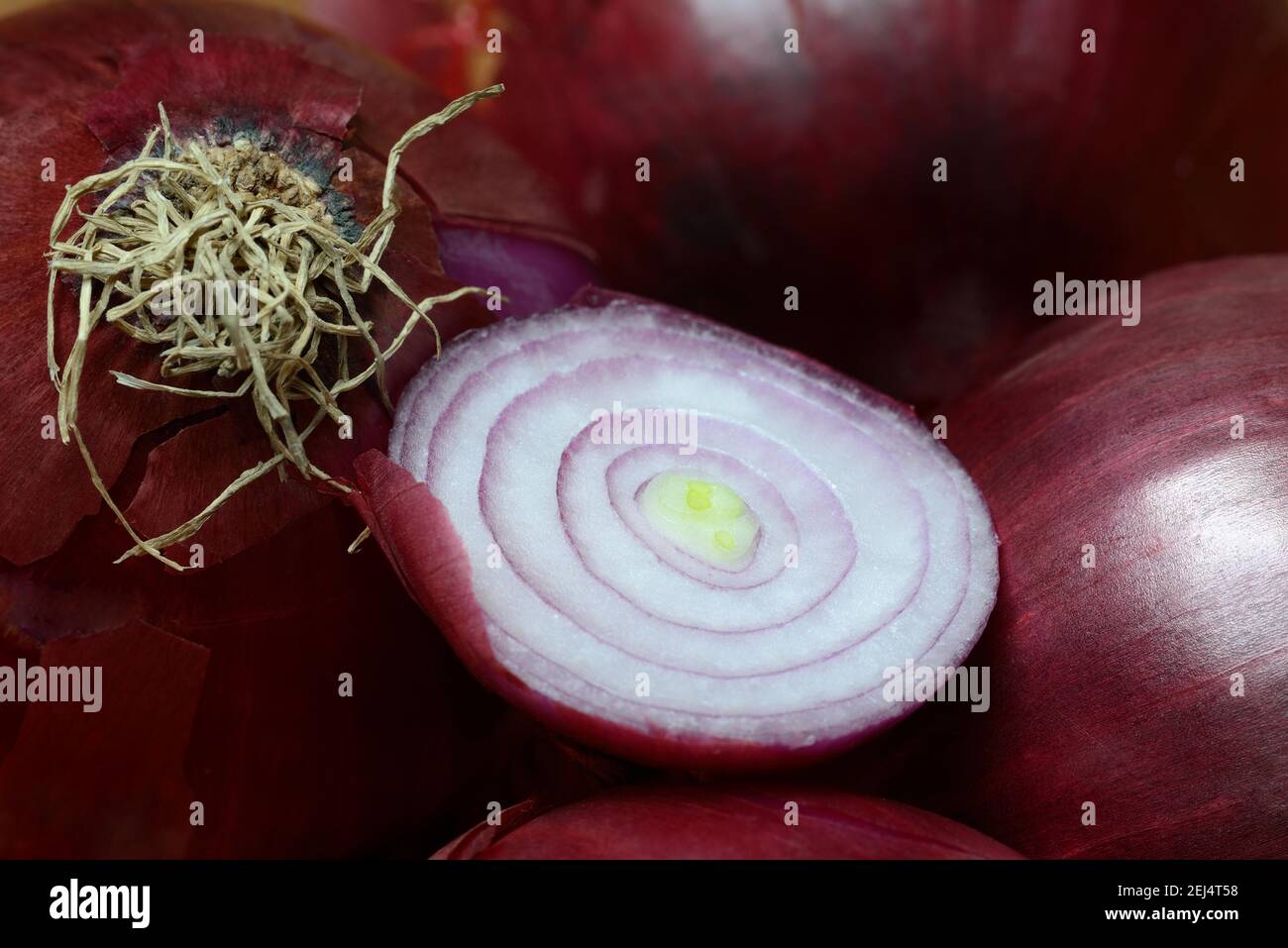 Red Common onions ( Allium cepa) sliced Stock Photo - Alamy