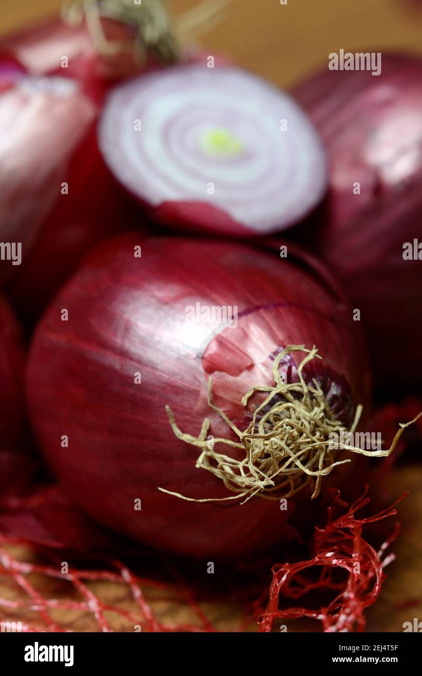 Red Common onions ( Allium cepa) sliced Stock Photo - Alamy