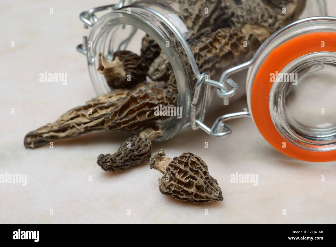 Dried morels ( Morchella conica) , Edible morel Stock Photo - Alamy