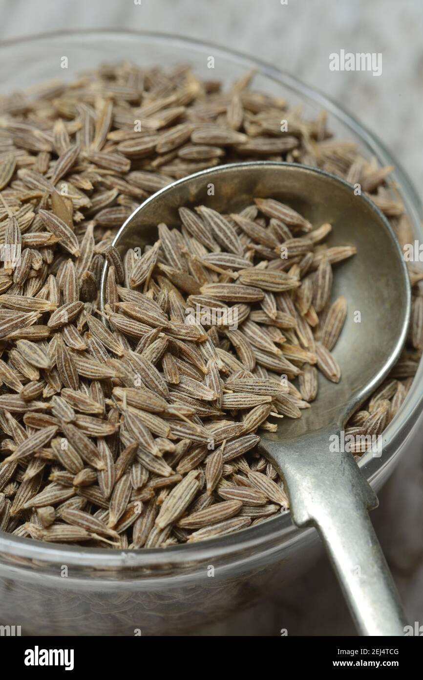 Cumin ( Cuminum cyminum) with spoon, seed Stock Photo - Alamy