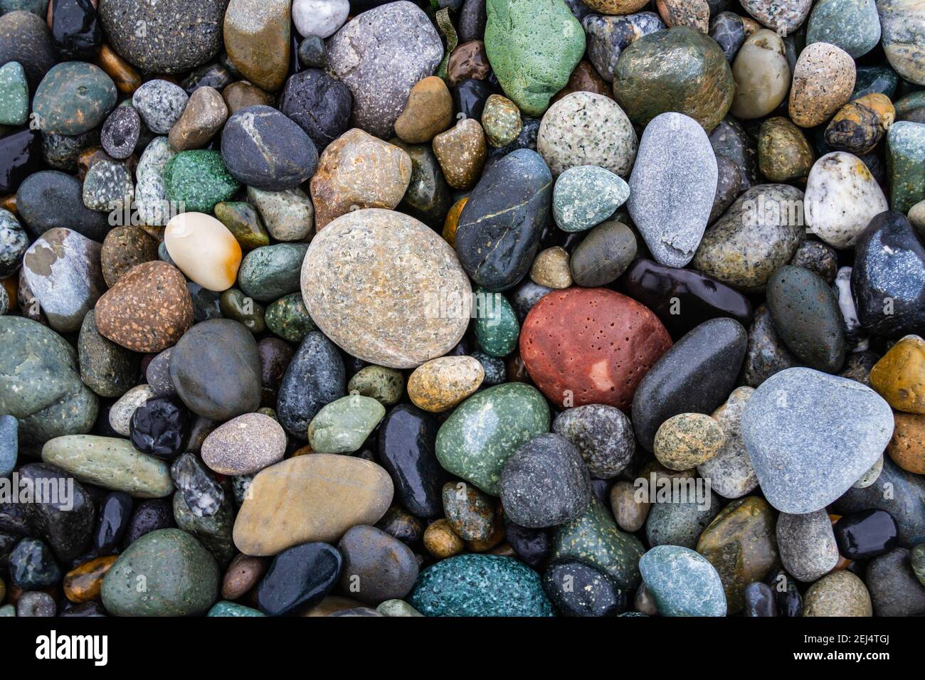 Colorful smooth rocks on the beach covered in water Stock Photo - Alamy