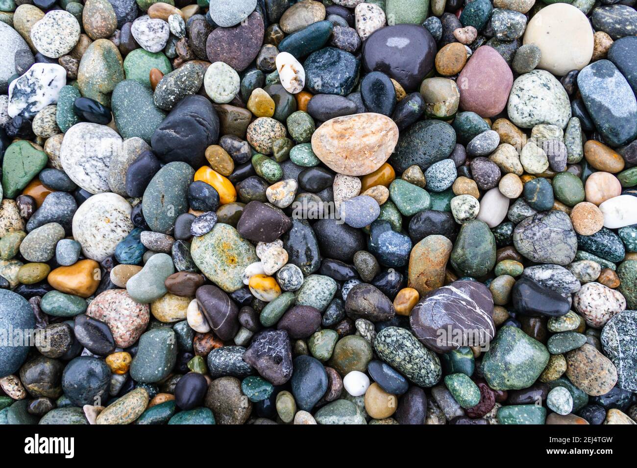 Colorful smooth rocks on the beach covered in water Stock Photo - Alamy