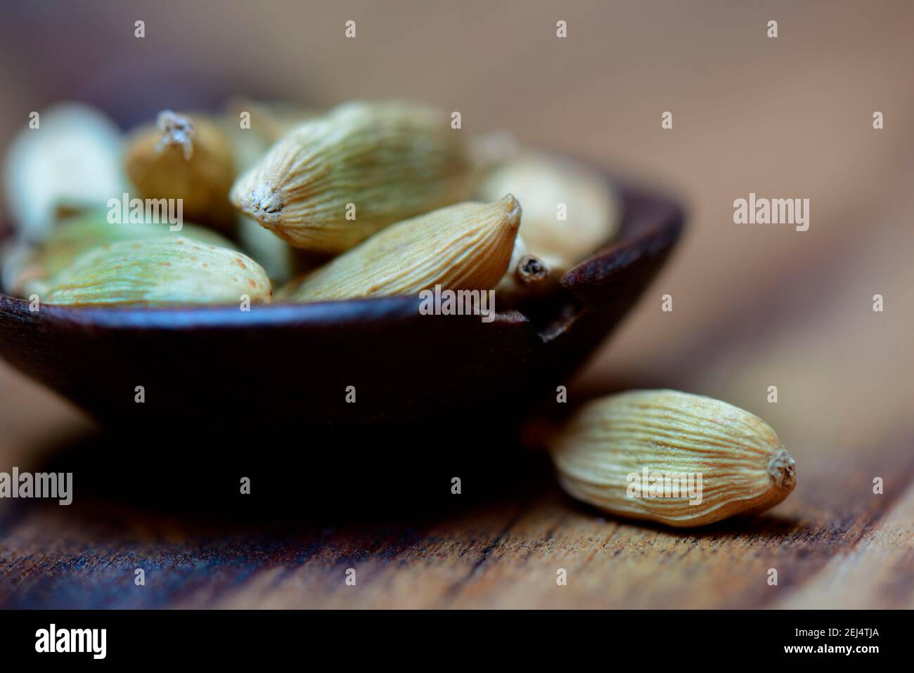 Cardamom (Elettaria cardamomum Stock Photo - Alamy