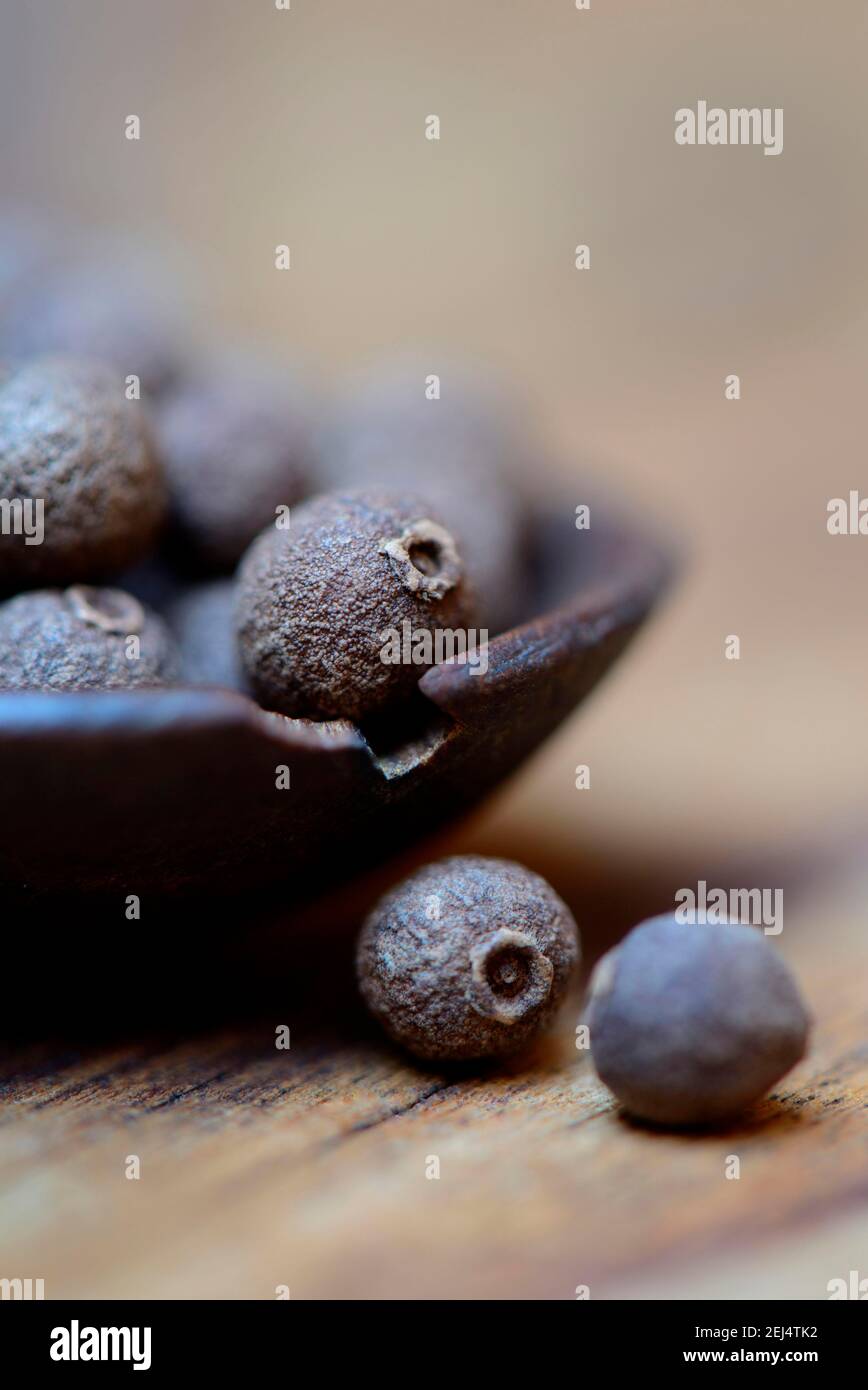 Allspice fruit hi-res stock photography and images - Alamy