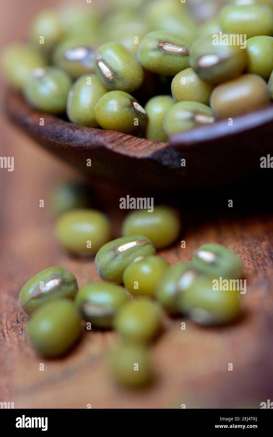 Mung beans ( Vigna radiata) ( Vigna mungo) , , Phaseolus mungo ...