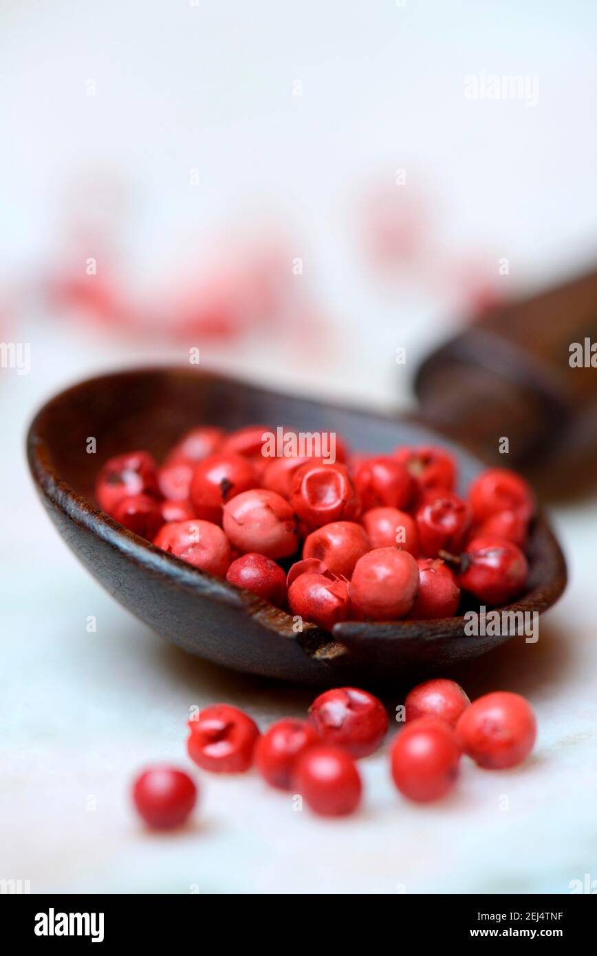 Brazilian pepper tree hi-res stock photography and images - Alamy