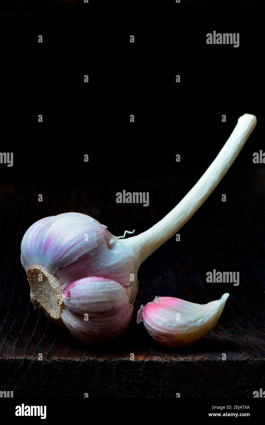 Garlic ( Allium sativum) ...tuber, toe Stock Photo - Alamy