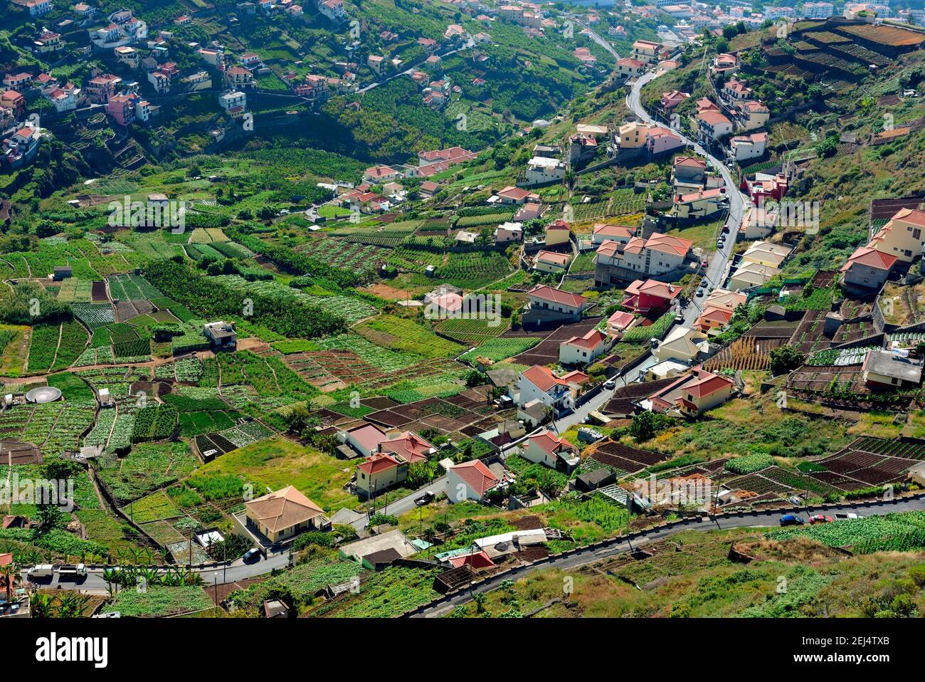Field terrace madeira hi-res stock photography and images - Alamy