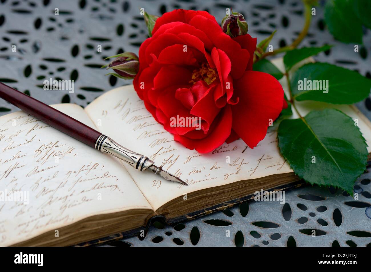 Penholder on book with old writing, red rose, handwriting Stock Photo ...