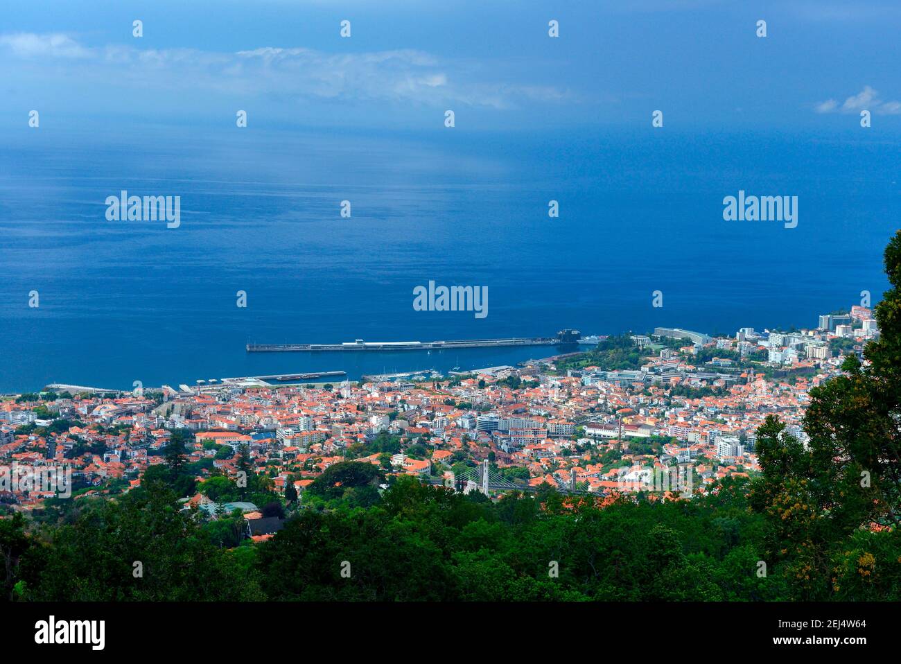 Port area of funchal hi-res stock photography and images - Alamy