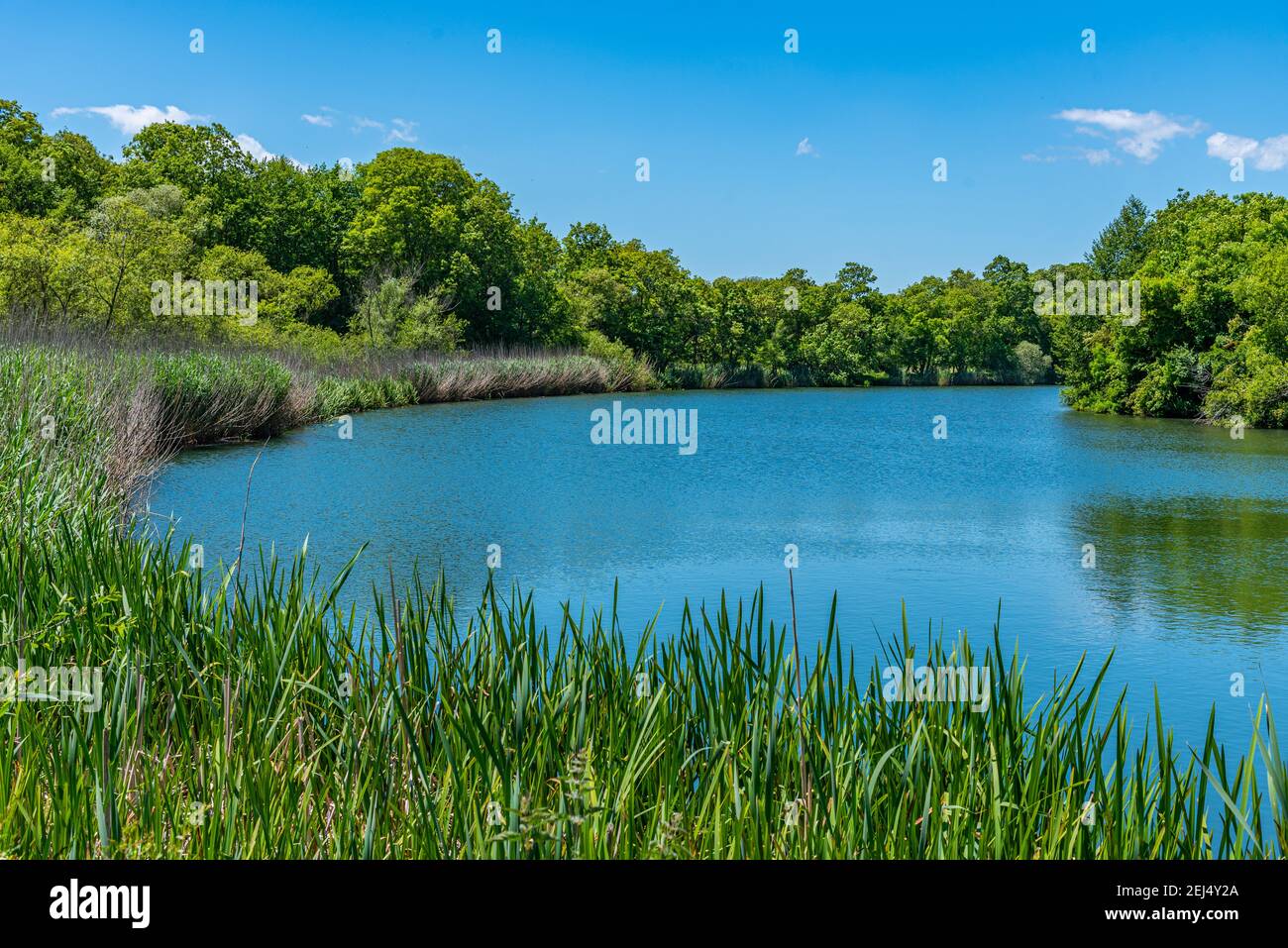 Aerial view of Strandzha mountains and veleka river in bulgaria Stock ...