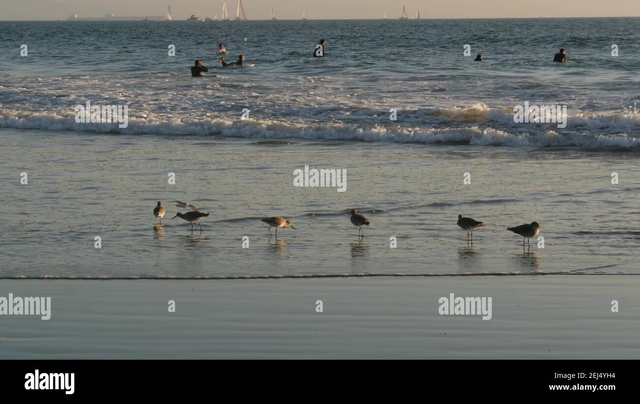 LOS ANGELES CA USA - 16 NOV 2019: California summertime Venice beach ...