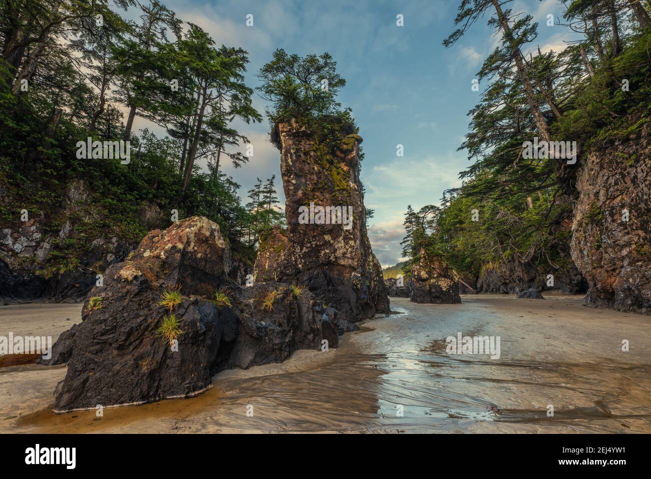 San Josef Bay on Vancouver Island, British Columbia sea stacks at low ...