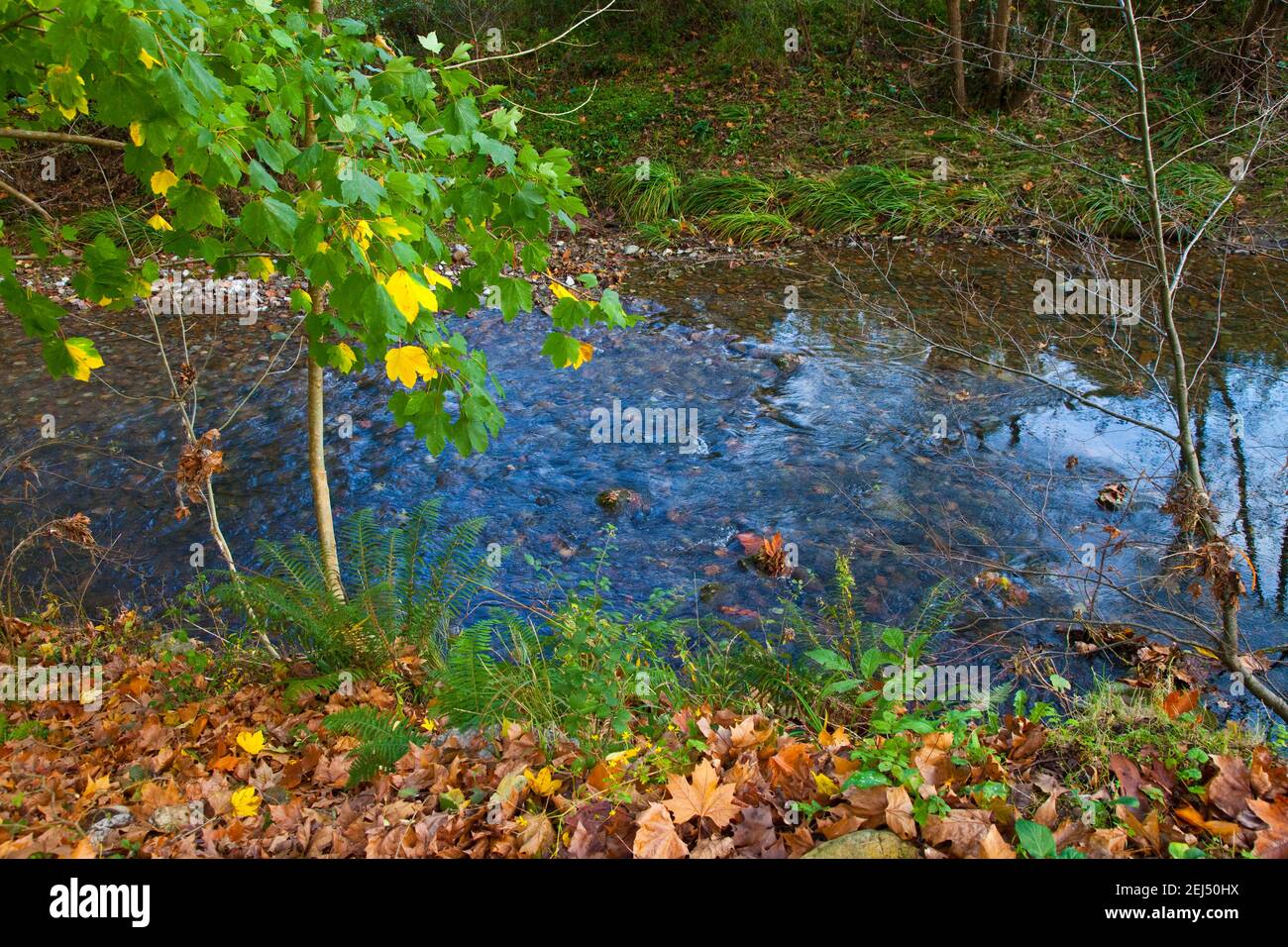 Río Agüera, Tramo alto alrededor de Agüera, Cantabria Stock Photo - Alamy