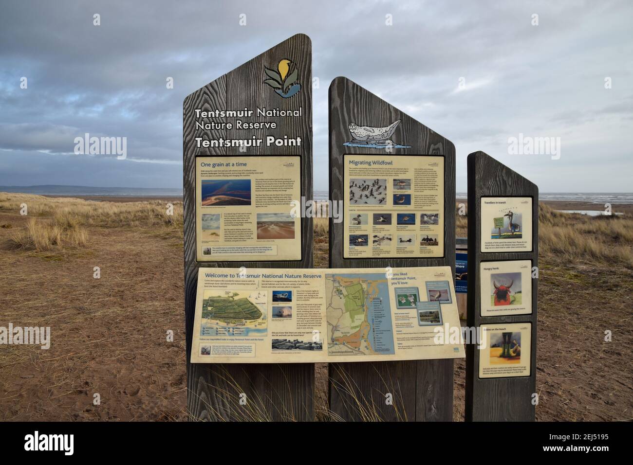 Large wooden information board at Tentsmuir national nature reserve ...