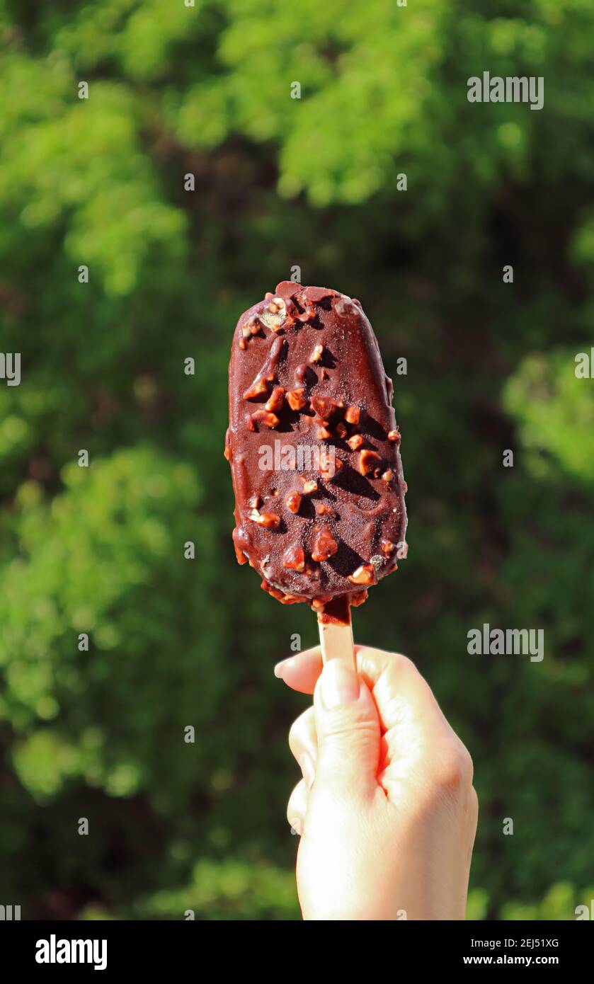 Delectable Chocolate Dipped Ice Cream Bar in Hand against Blurry Green ...