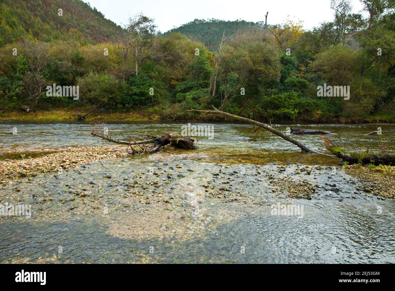 Bedon hi-res stock photography and images - Alamy