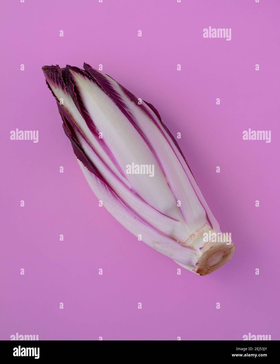 One fresh red chicory on a pink background Stock Photo - Alamy