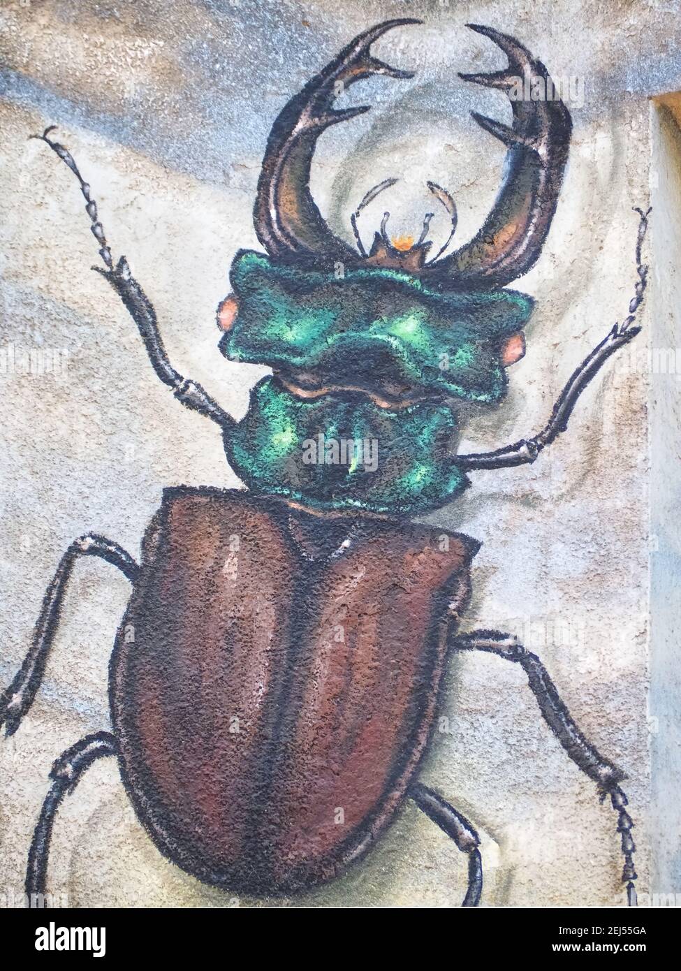 Street art in Duesseldorf - Graffiti of an insect Stock Photo - Alamy