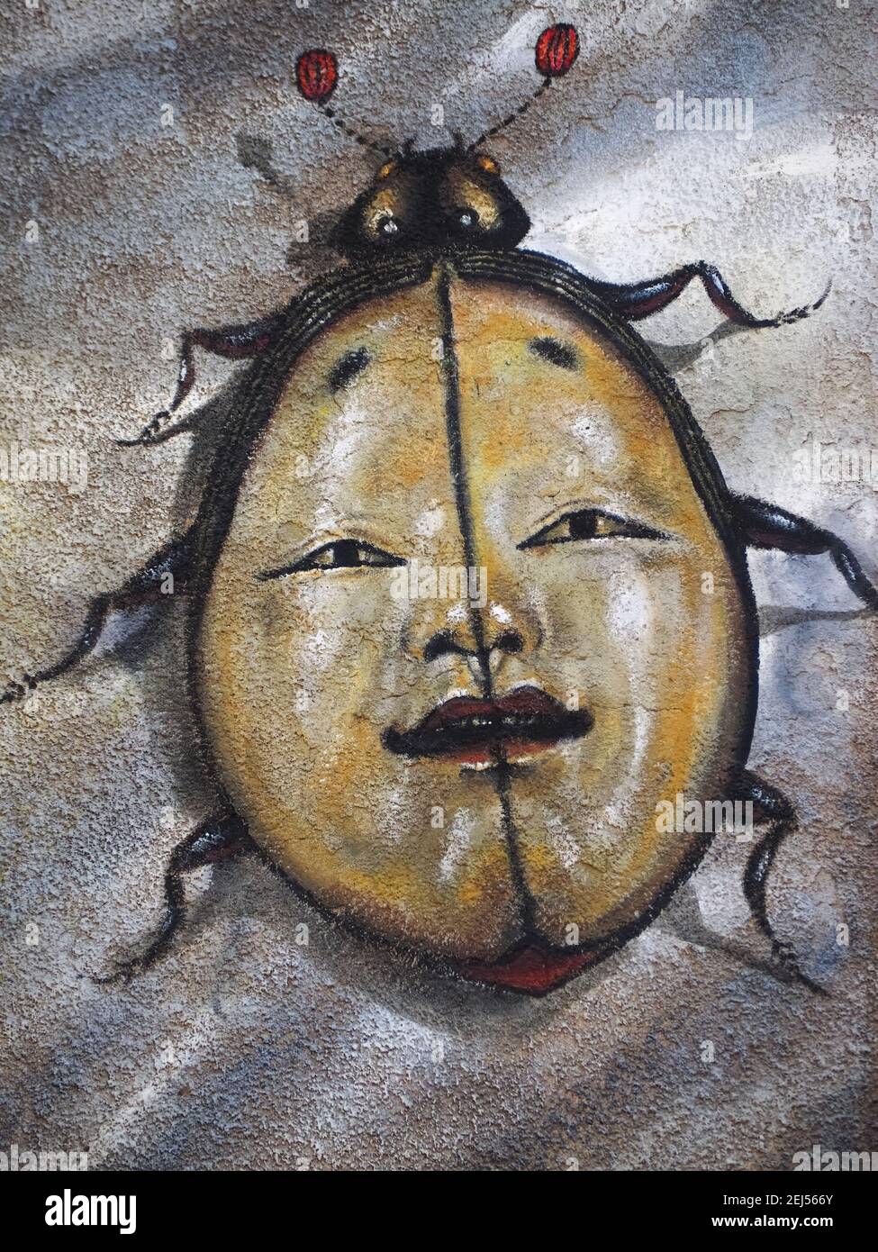 Street art in Duesseldorf - Graffiti of an insect with a mask Stock ...