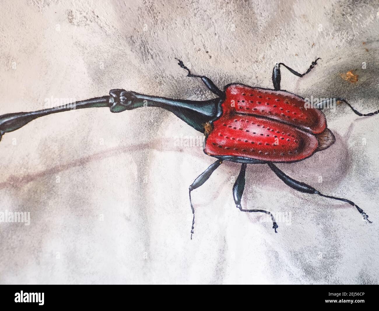 Street art in Duesseldorf - Graffiti of an insect Stock Photo - Alamy