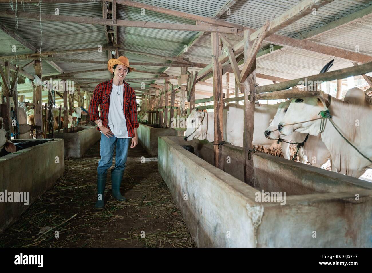 handsome rancher wearing a cowboy hat standing in the background of a ...