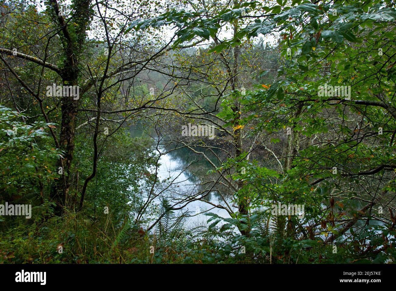 Rio navia asturias hi-res stock photography and images - Alamy