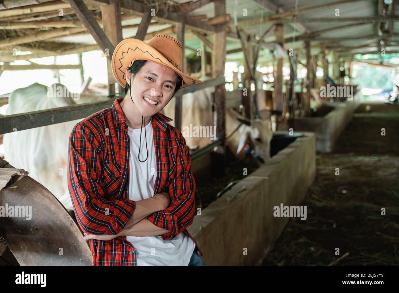 handsome rancher wearing a cowboy hat with crossed hands pose in the ...
