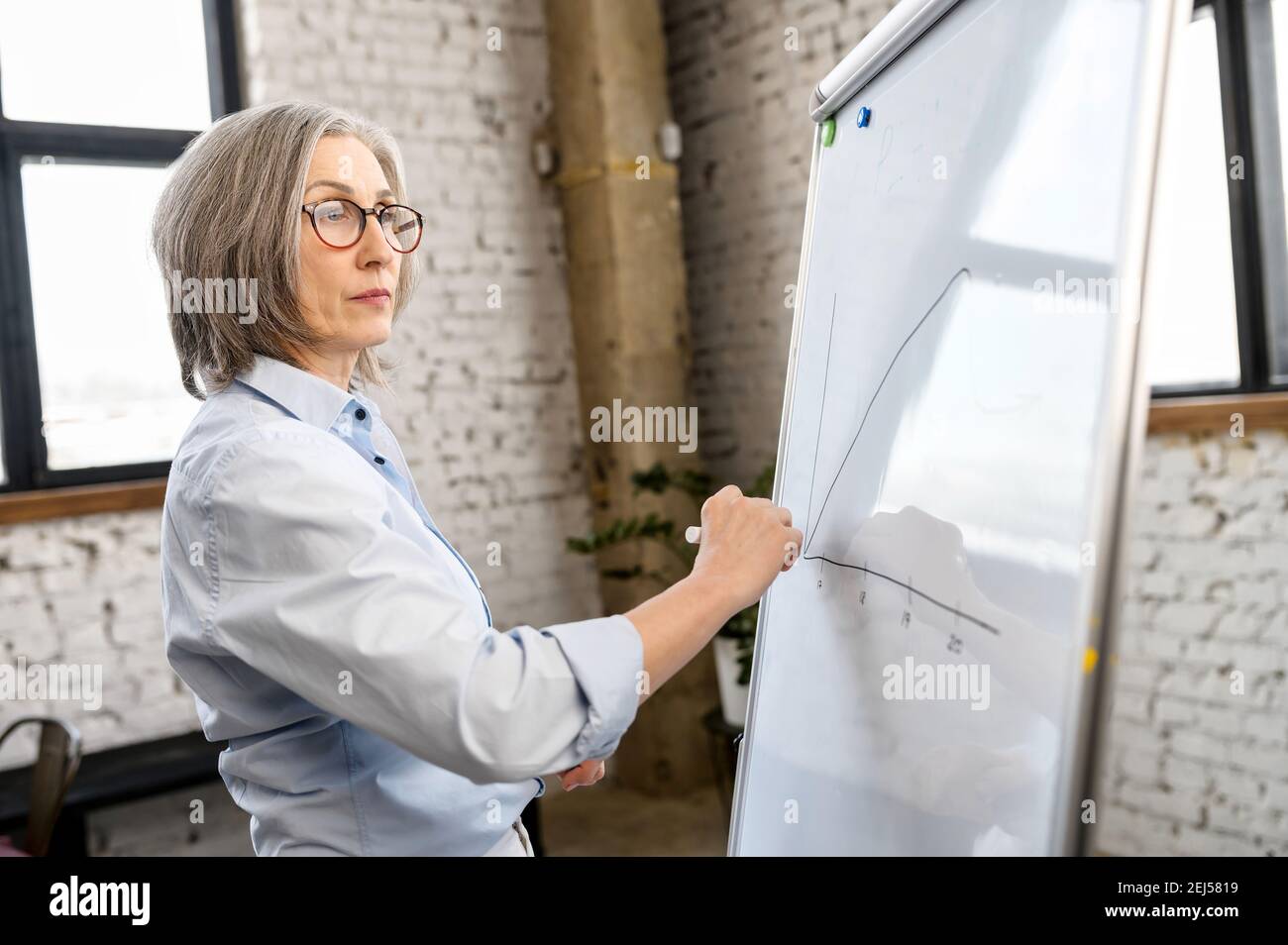 Professor giving lecture hi-res stock photography and images - Alamy