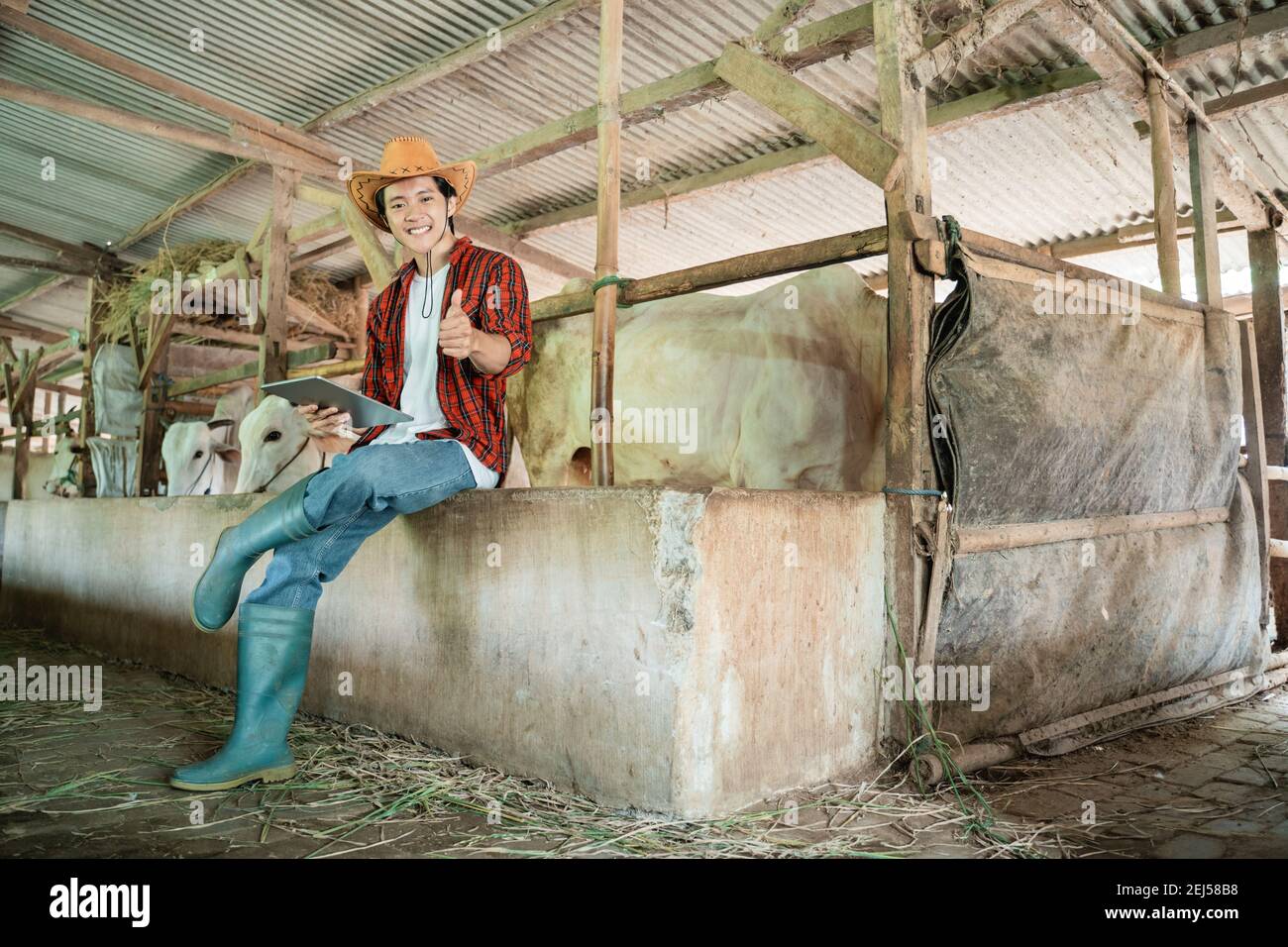 handsome rancher wearing a cowboy hat poses sitting with one thumbs up ...