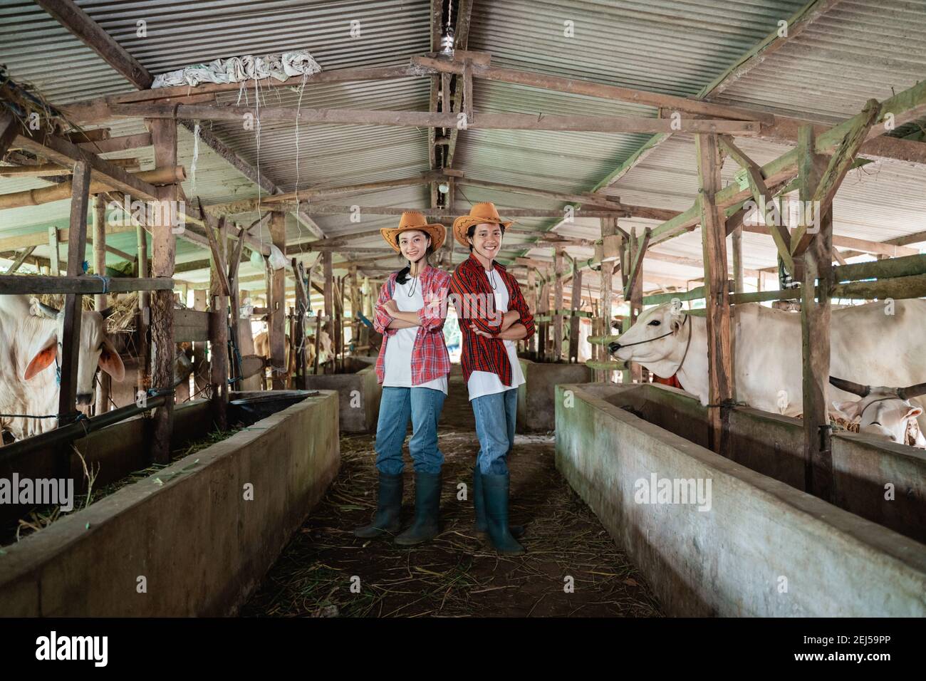 Two cattle breeders wearing casual clothes and hats stand back to back ...