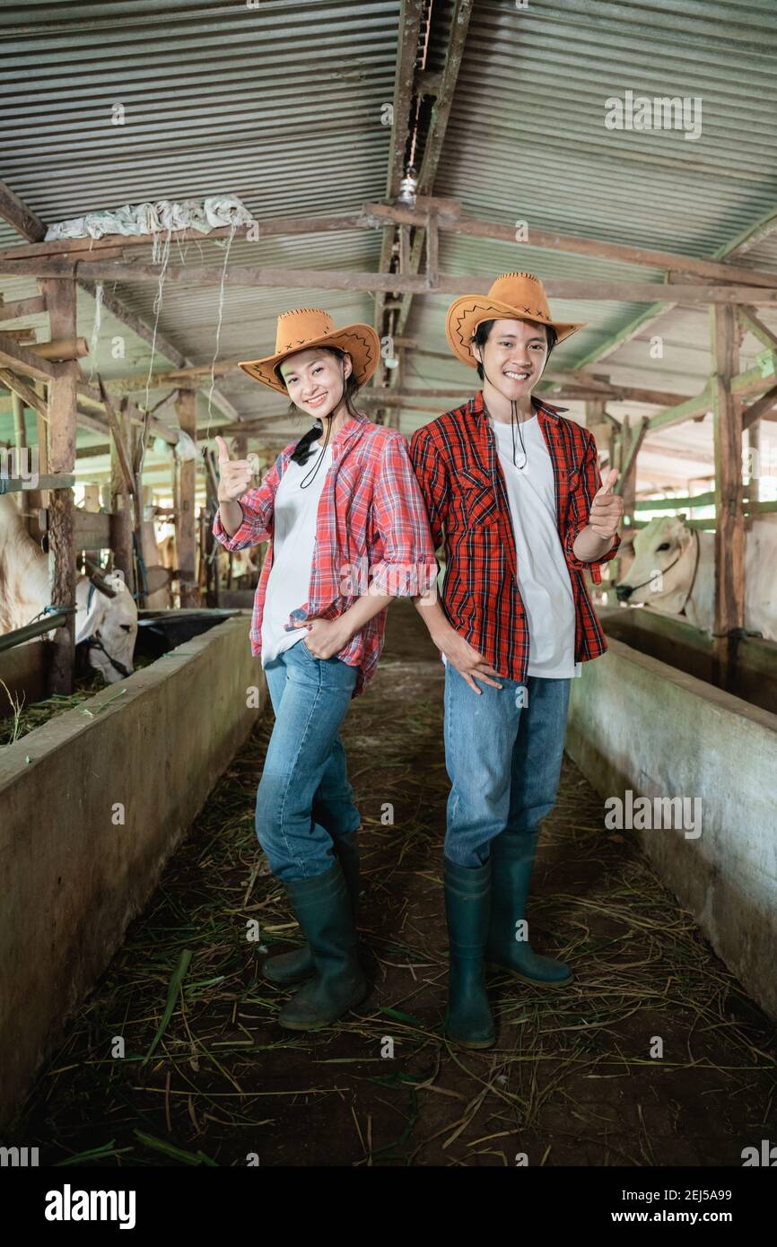 the farmer couple stands and smiles with a thumbs up in the cattle ...