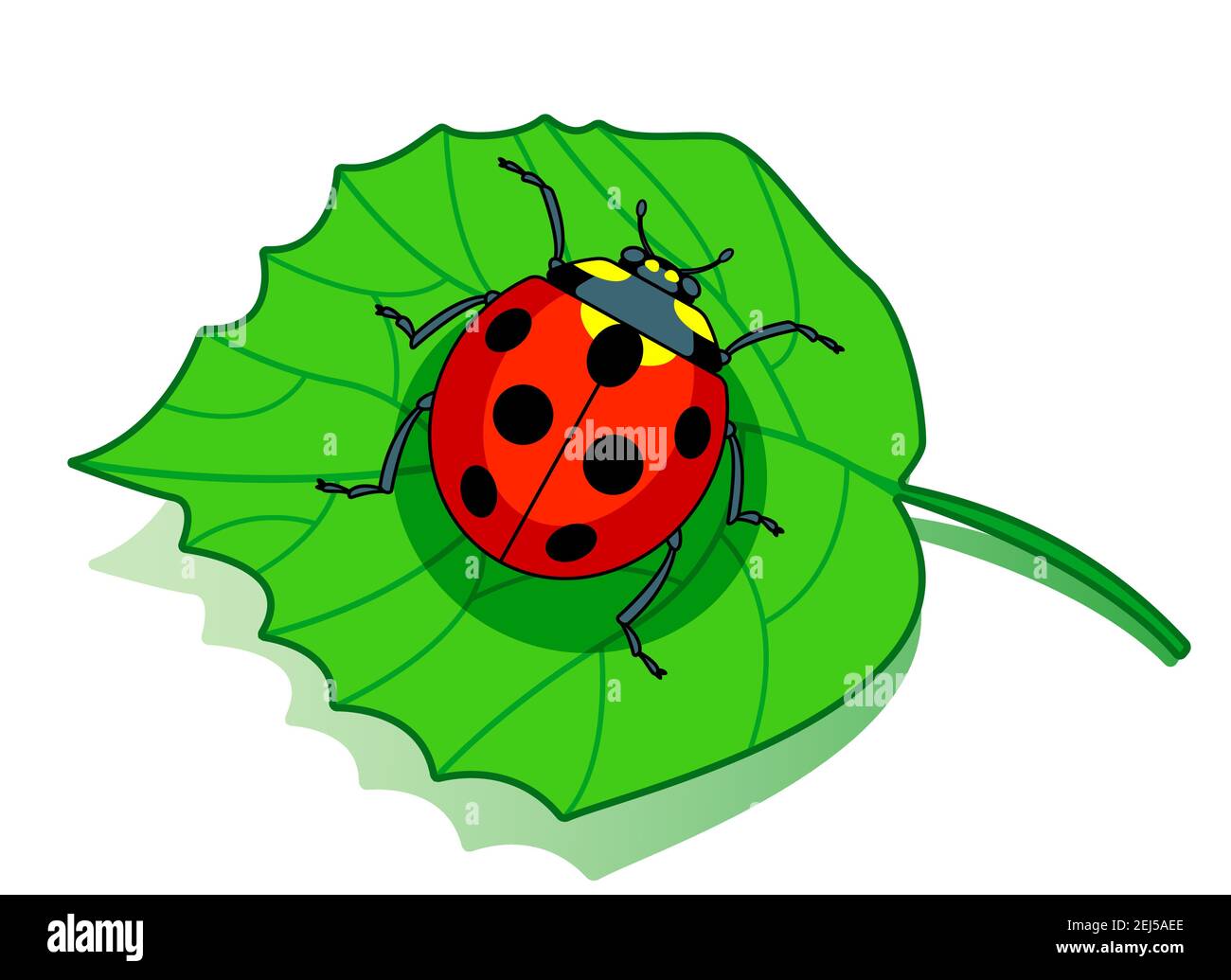 Illustration of the red ladybug on green leaf Stock Vector Image & Art ...