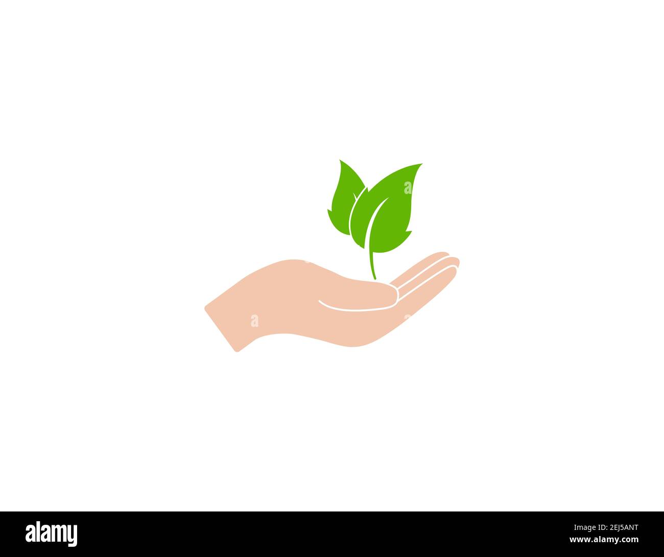 Plant leaf in hand icon. Vector Stock Vector Image & Art - Alamy